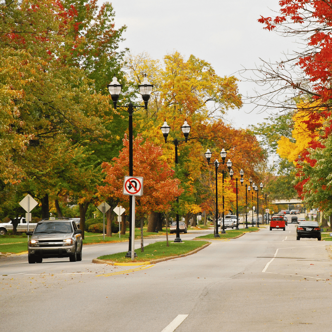 Urban Forest Management Plan: Kettering, OH, USA | PlanIT Geo™