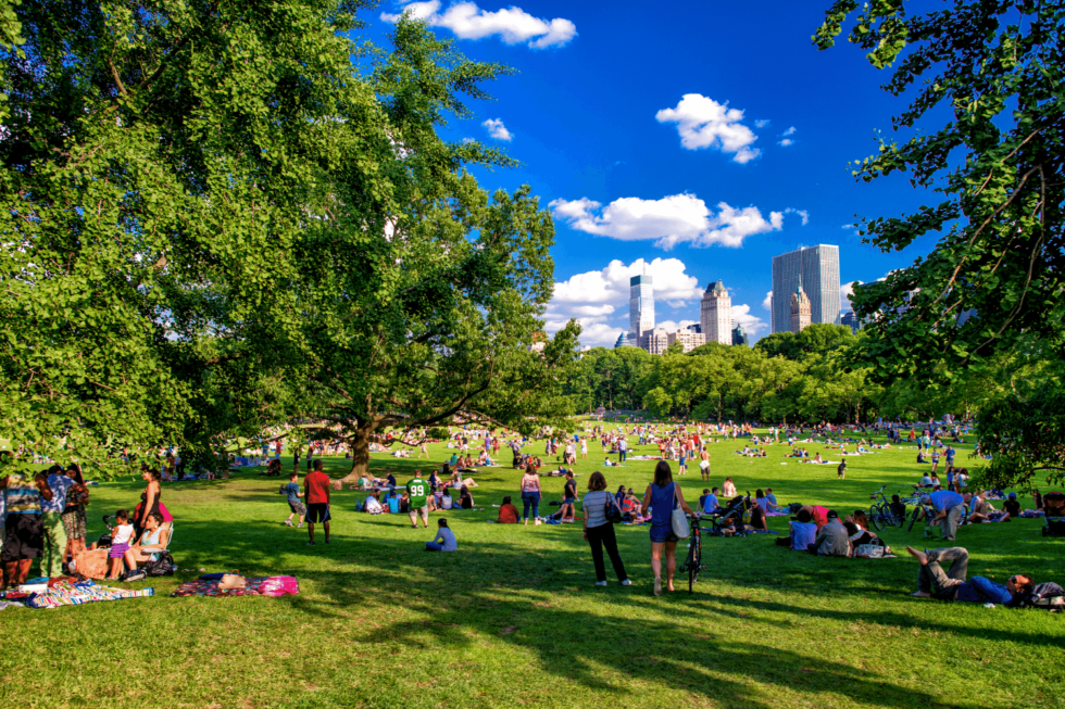 Modern Tools for Managing Urban PARKS | PlanIT Geo™