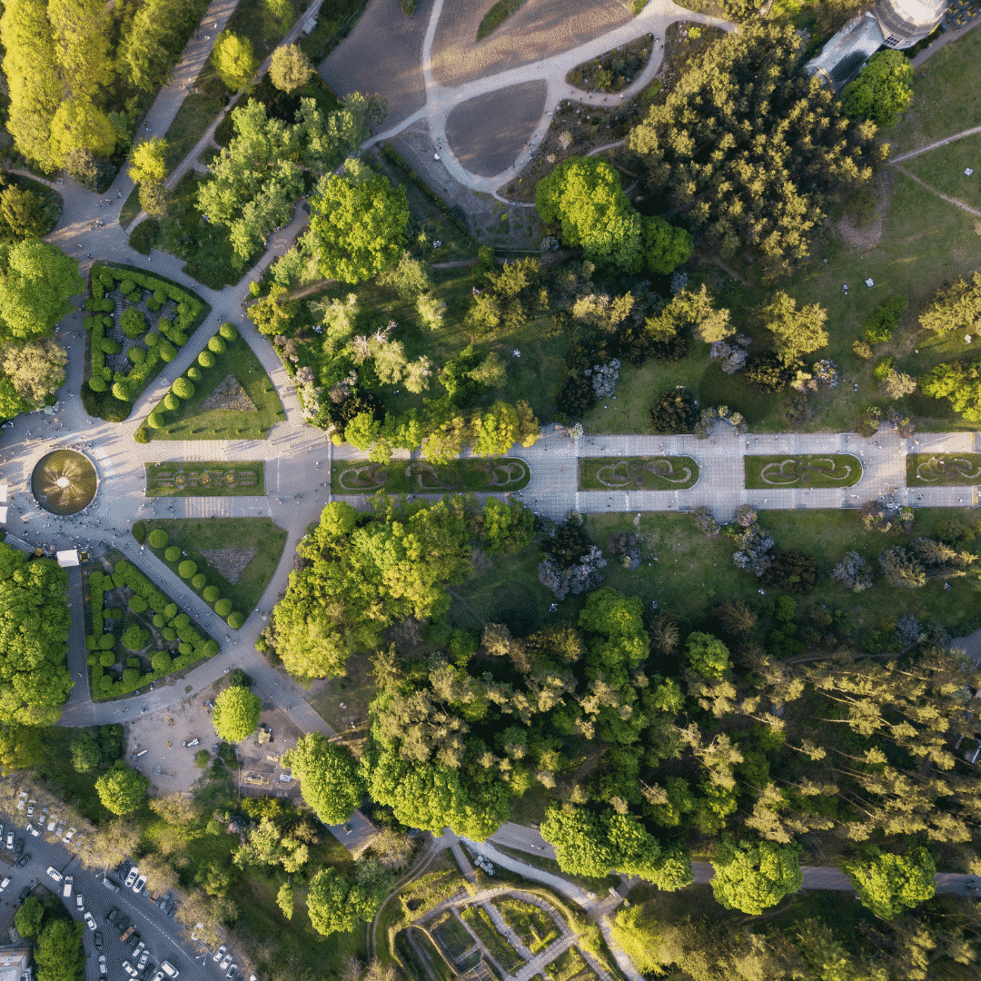 TreePlotter Software Suite - Tree Mapping Software - PlanIT Geo™