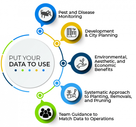 Tree Data Management - Tree Inventory and Assessments - PlanIt Geo