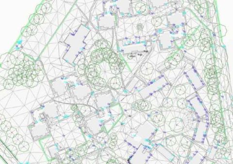 Tree Appraisal, Tree Risk, WOM - Customizations & Add-Ons PlanIt Geo™
