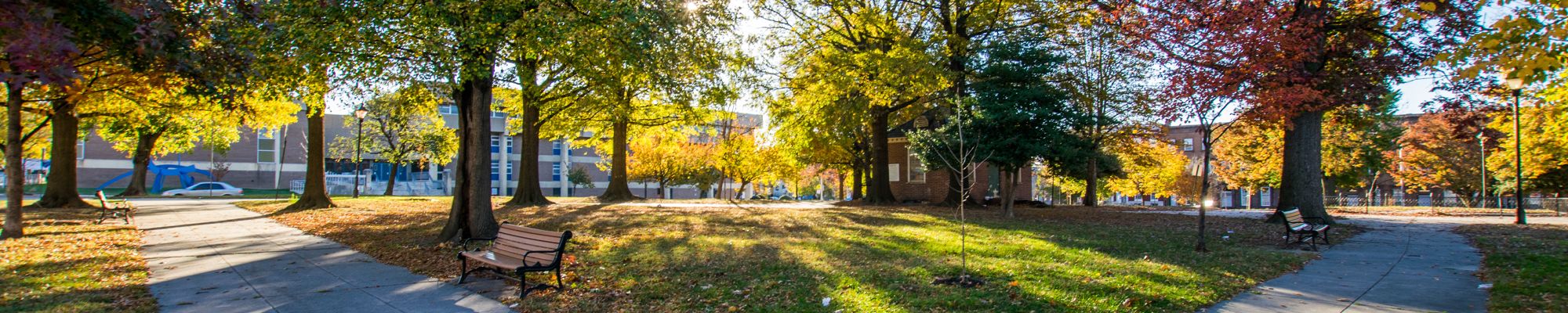 Treeplotter Inventory Tree Inventory Software Planit Geo