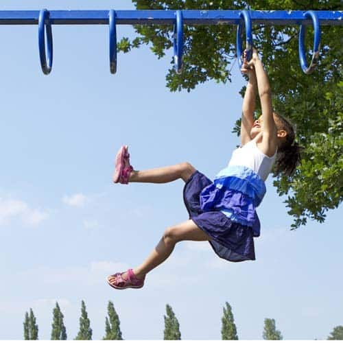 TreePlotter™ Software Demo Applications | PlanIT Geo™