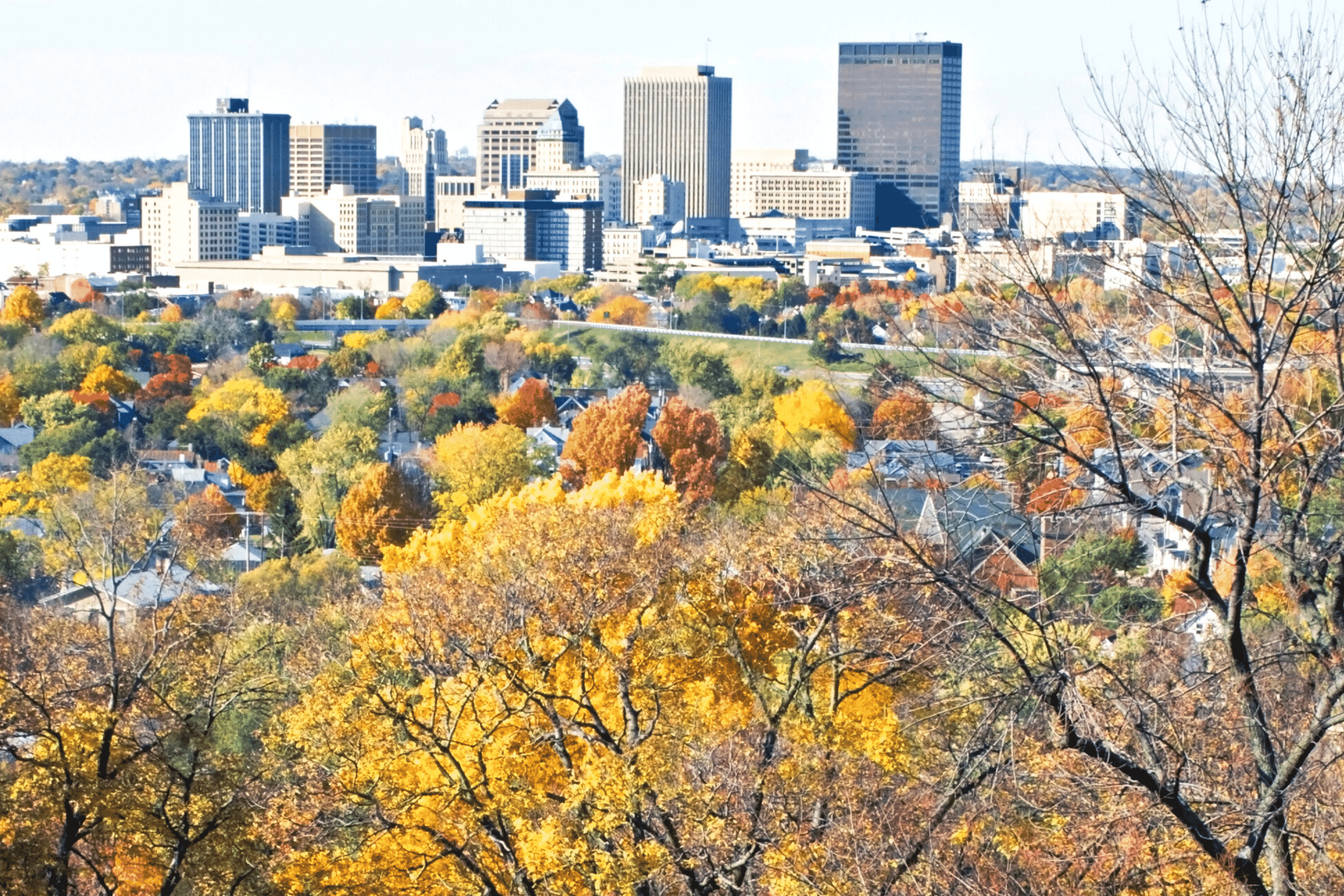 Urban Forestry Webinars On Demand Webinars Planit Geo