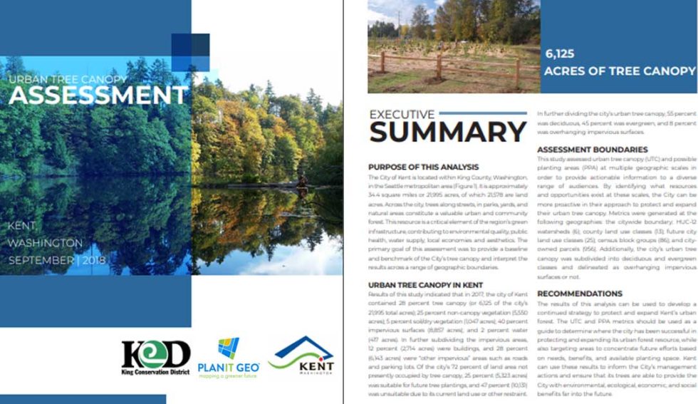 What Will I Learn From An Urban Tree Canopy Assessment? | PlanIT Geo™