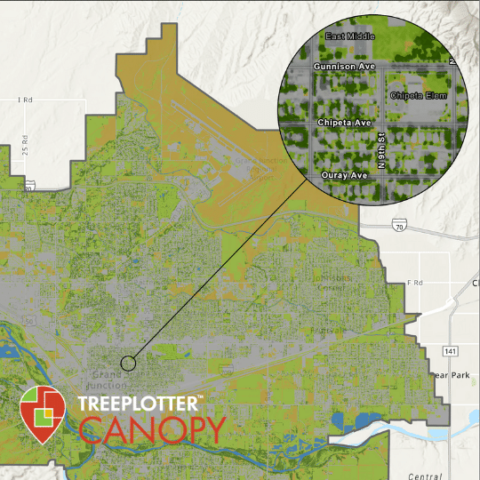Urban Tree Canopy and Artificial Intelligence | PlanIT Geo™
