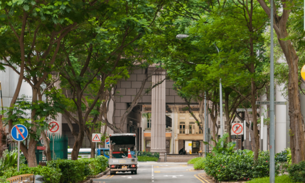 Everything You Need to Know About AI-Driven Tree Canopy Data | PlanIT Geo™