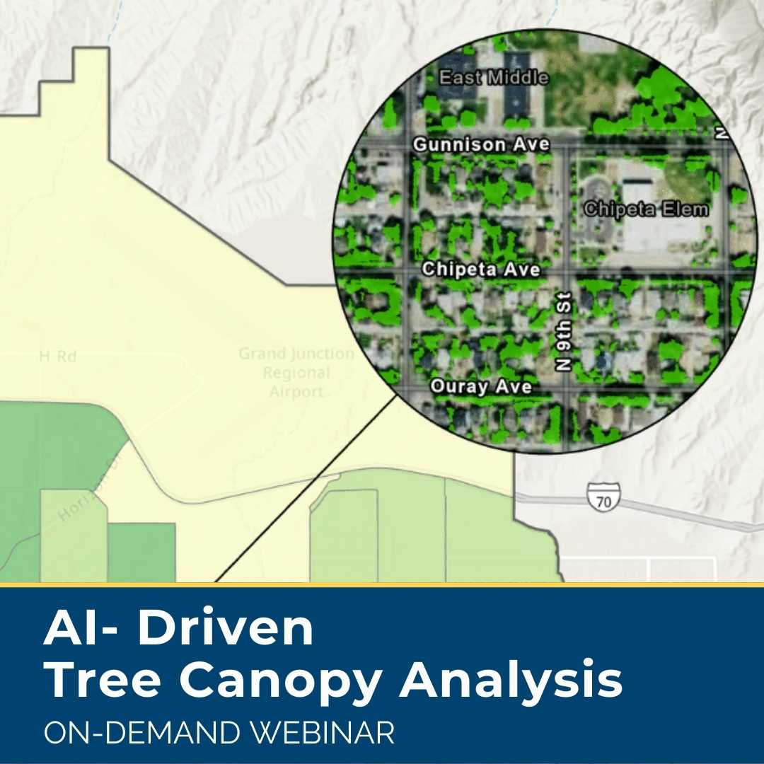 AI-Driven Tree Canopy Analysis | PlanIT Geo™