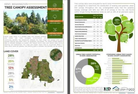 Urban Tree Canopy Assessment: Project Summary, Kent, WA, USA | PlanIT Geo™