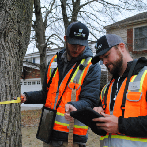 The Difference Between Tree Inventories and Tree Canopy Assessments ...