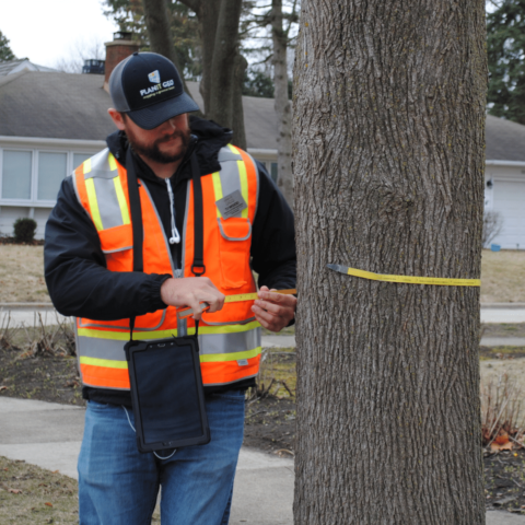 Tree Data Management - Tree Inventory and Assessments - PlanIt Geo