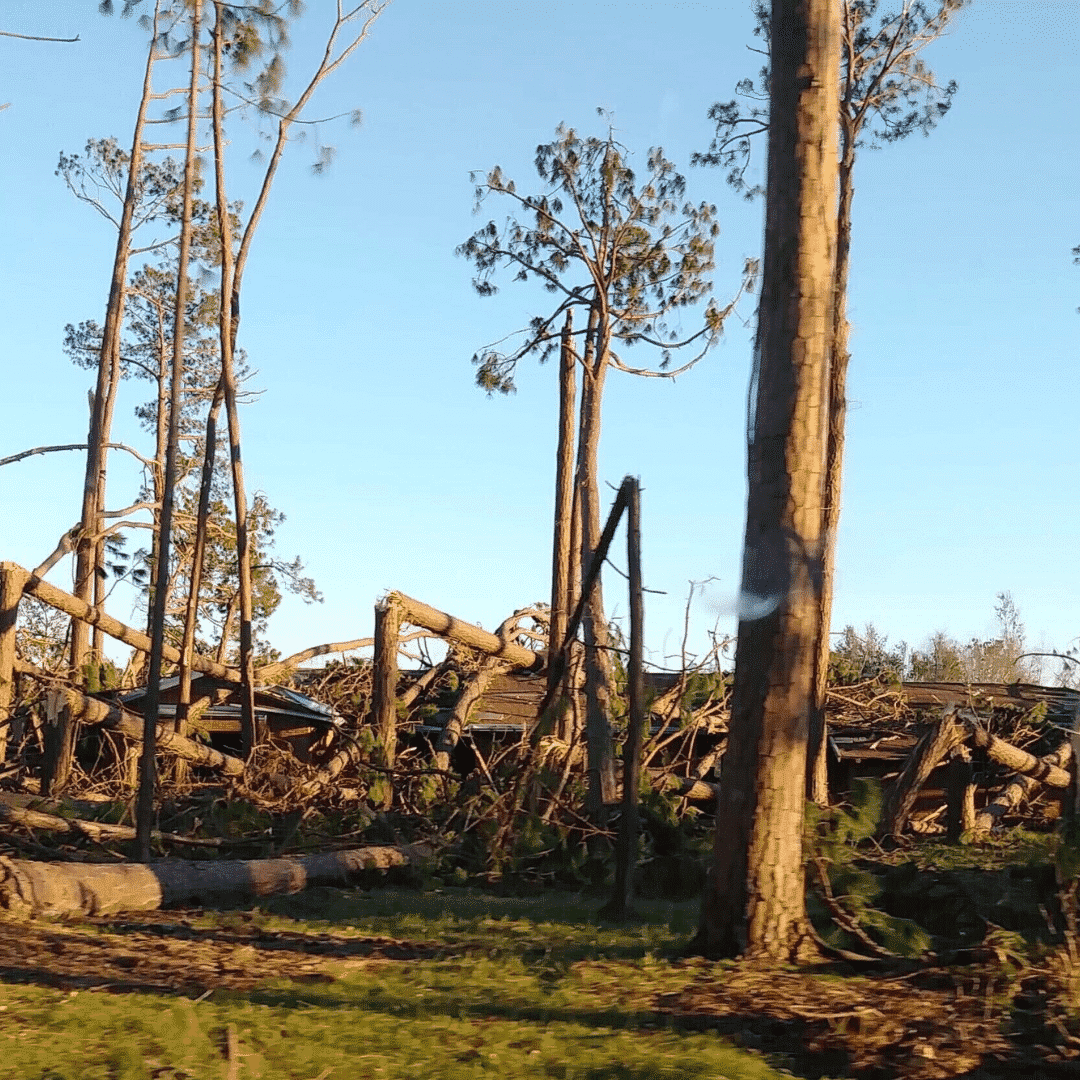 Urban Tree Canopy Assessment: Hurricane Michael: Impact in Georgia ...