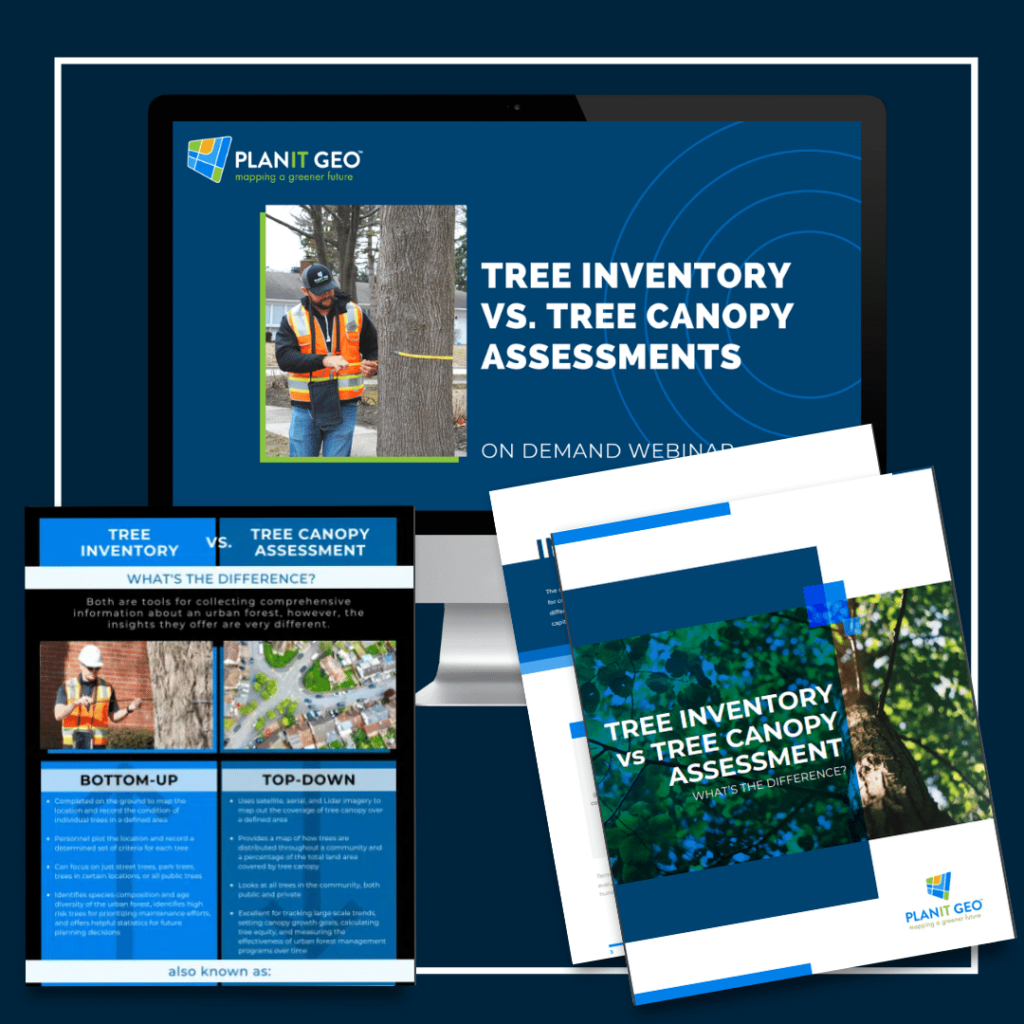 Tree Inventory Planning for Actionable Data | PlanIT Geo™