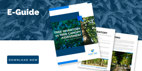 Tree Inventory Vs Tree Canopy Assessments Content Collection Planit Geo邃