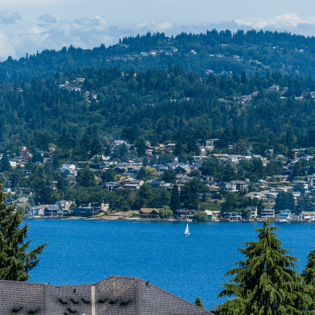 Urban Tree Canopy Assessment: Project Summary, Renton, Washington, USA ...