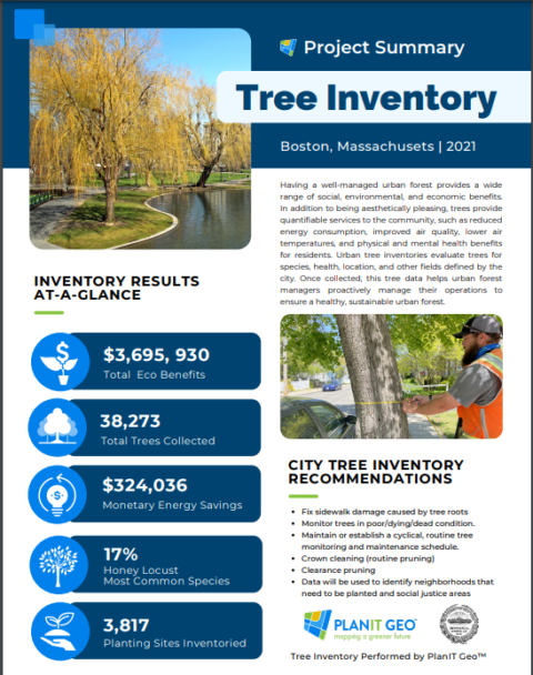 Tree Inventory Project Summary: Boston, MA, USA | PlanIT Geo™