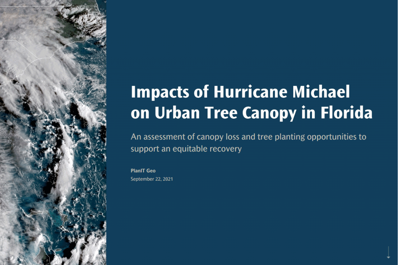 The Impact of Hurricane Michael on Tree Canopy | TreePlotter™