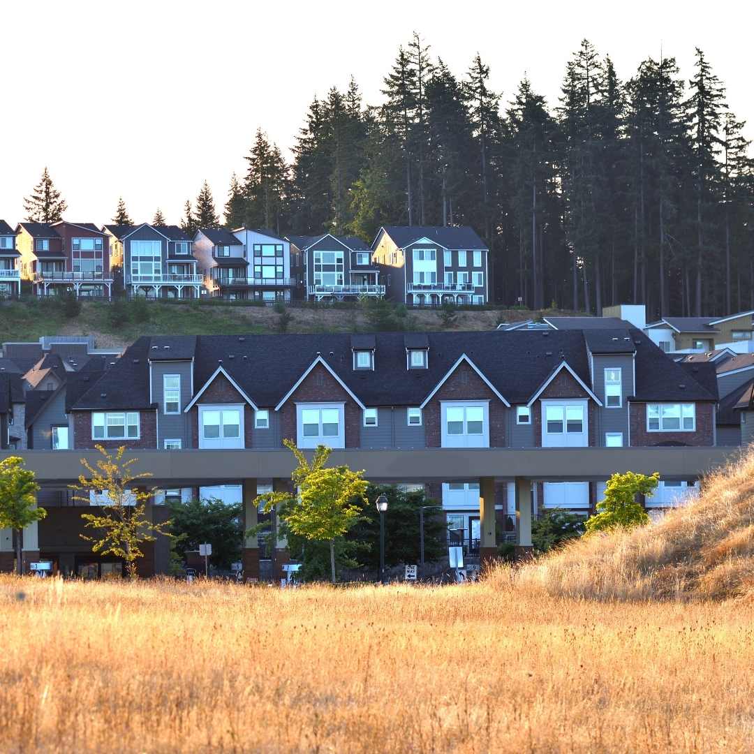 Issaquah Tree Canopy Assessment | PlanIT Geo™