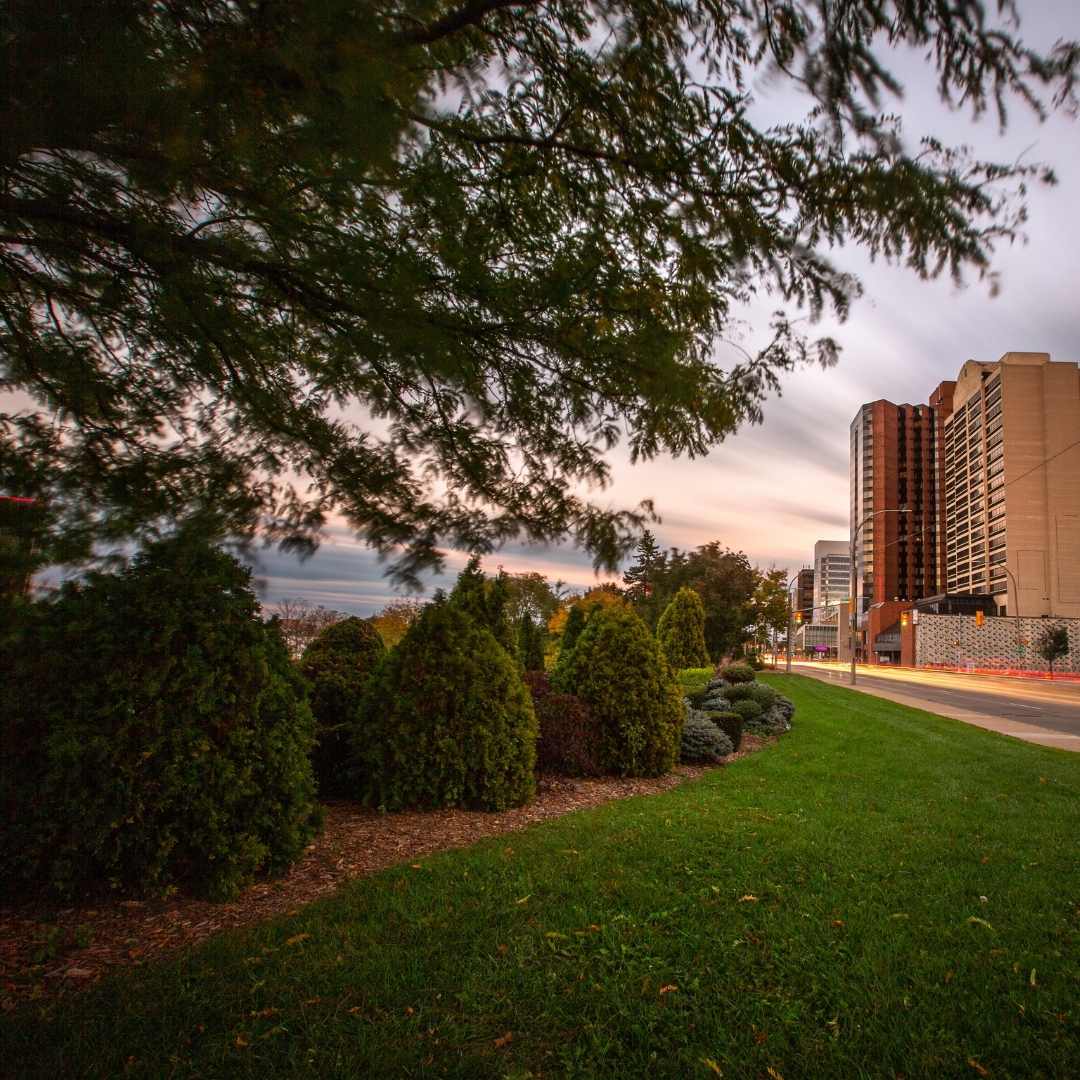 Windsor Tree Canopy Assessment | PlanIT Geo™