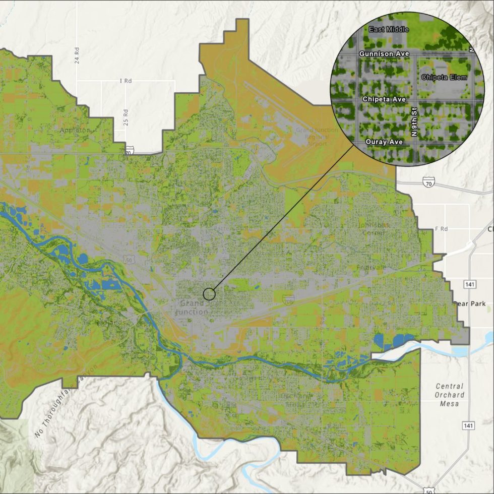 Urban Tree Canopy Assessment - Geospatial Mapping Services PlanIt Geo