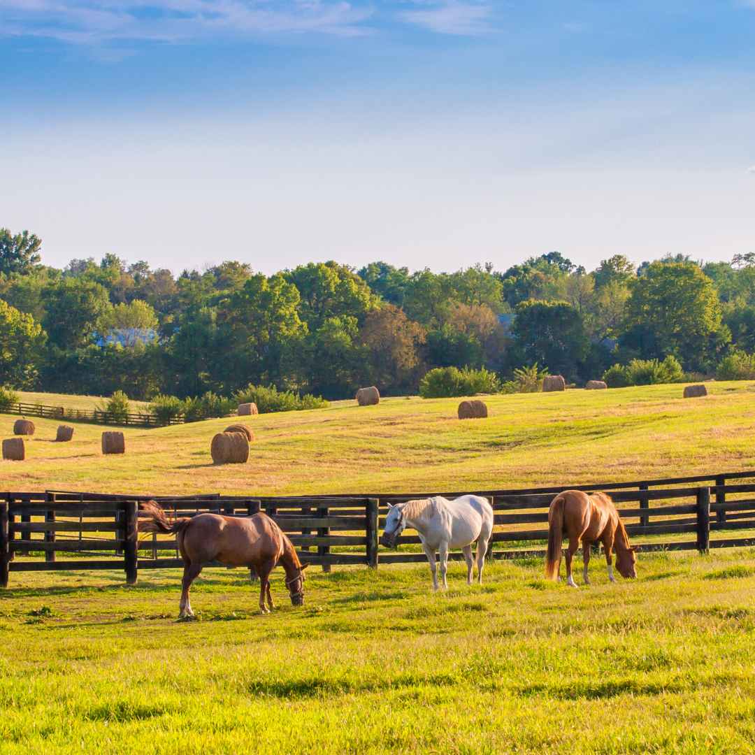 Urban Forest Goals in Lexington, KY | PlanIT Geo™