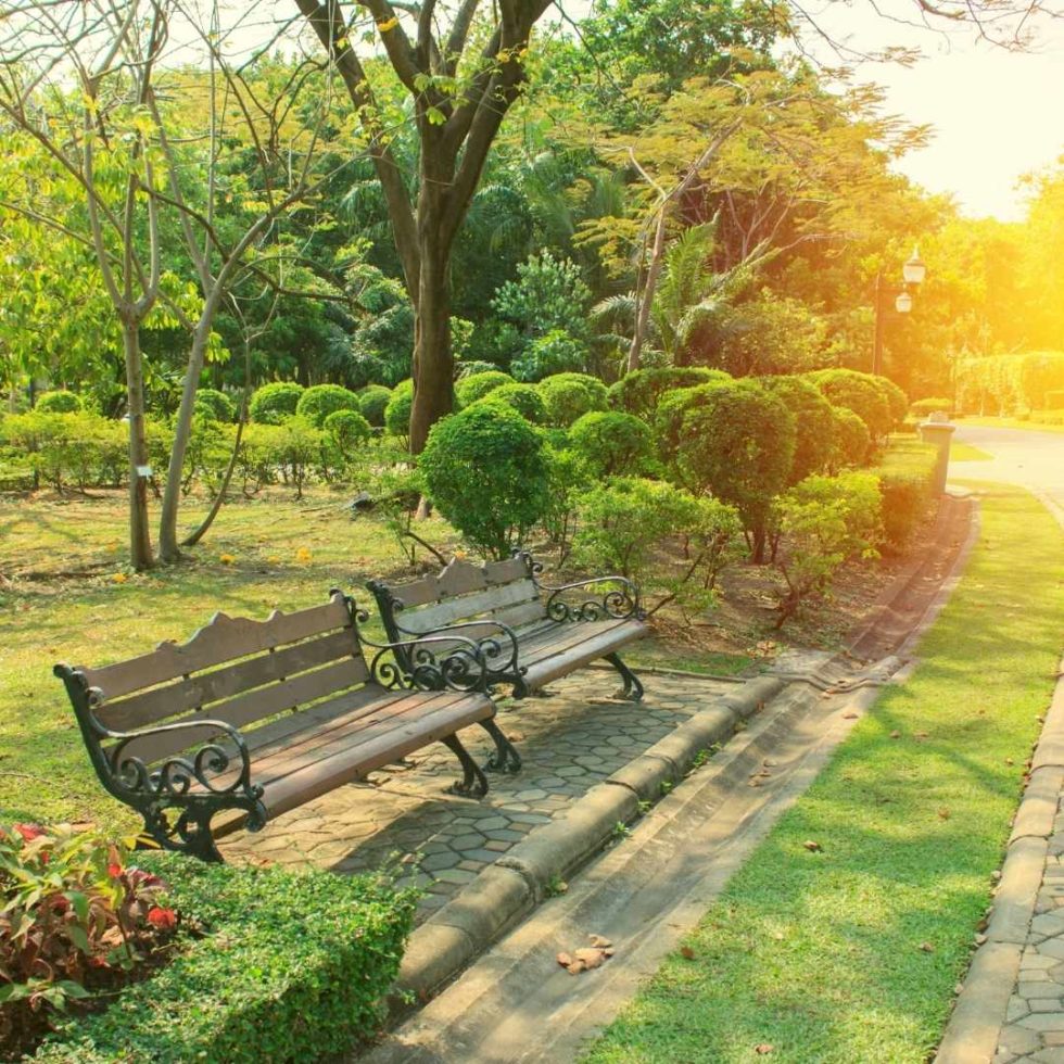 The New i-Tree Benefits API Is Here | PlanIT Geo™