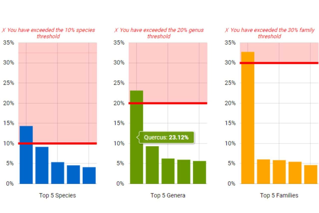 The 10-20-30 Rule For Tree Diversity
