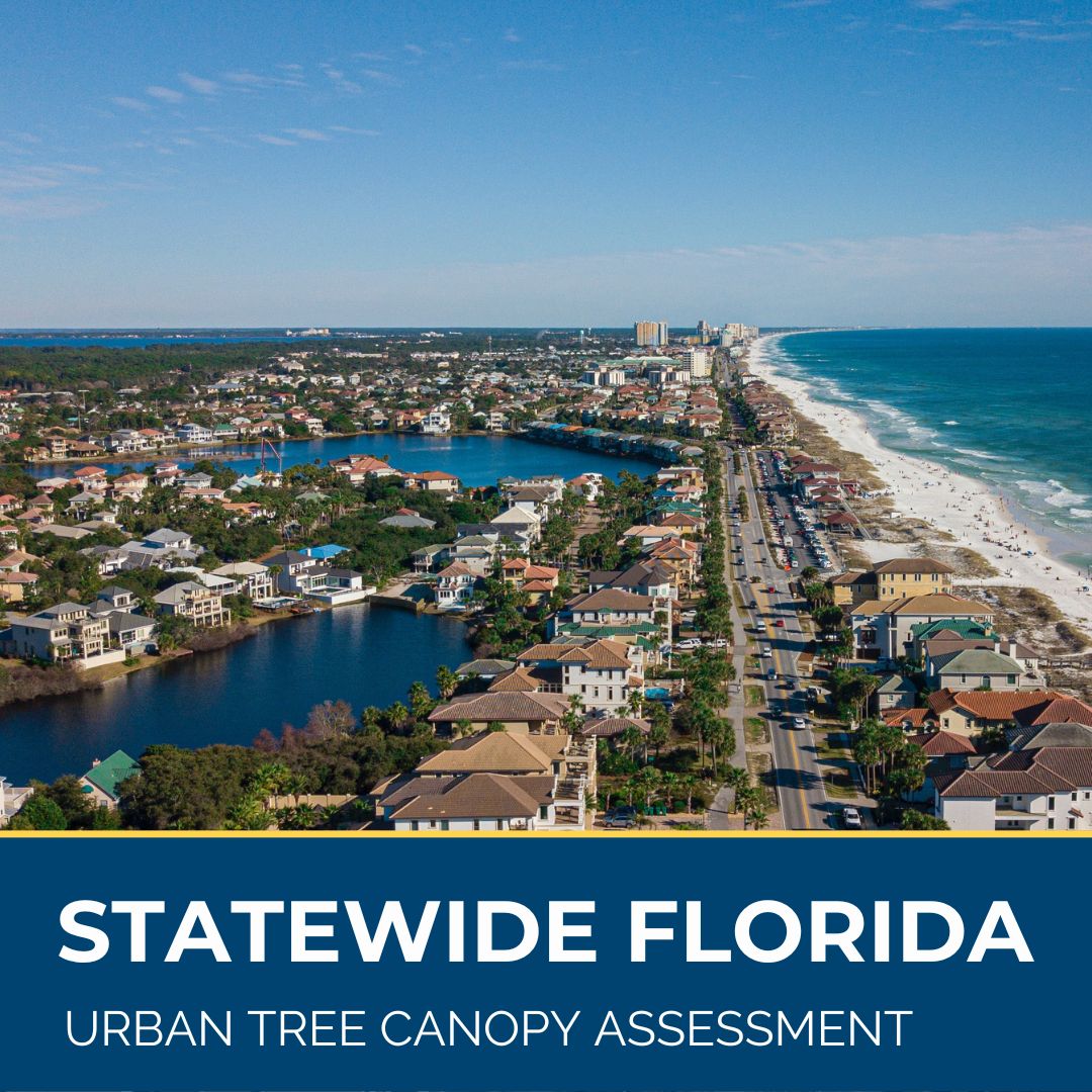 Urban Tree Canopy Assessment: Statewide, Florida, USA | PlanIT Geo™