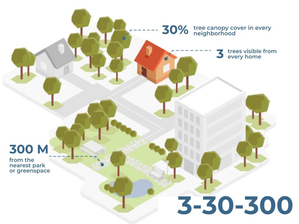 Urban Forestry’s New Benchmark: The 3+30+300 Rule | PlanIT Geo™