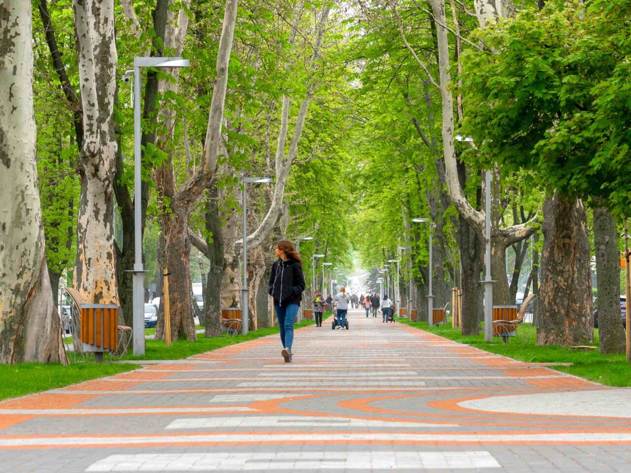 Urban Forestry’s New Benchmark: The 3+30+300 Rule | PlanIT Geo™