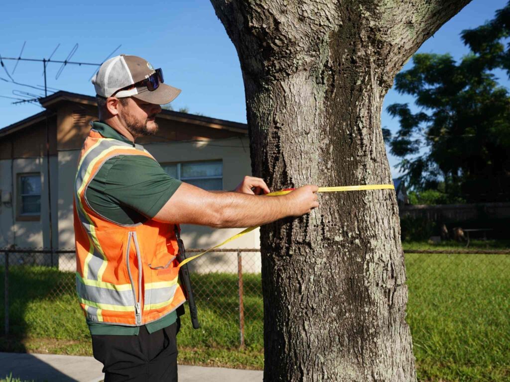 Tree Inventory Planning for Actionable Data | PlanIT Geo™