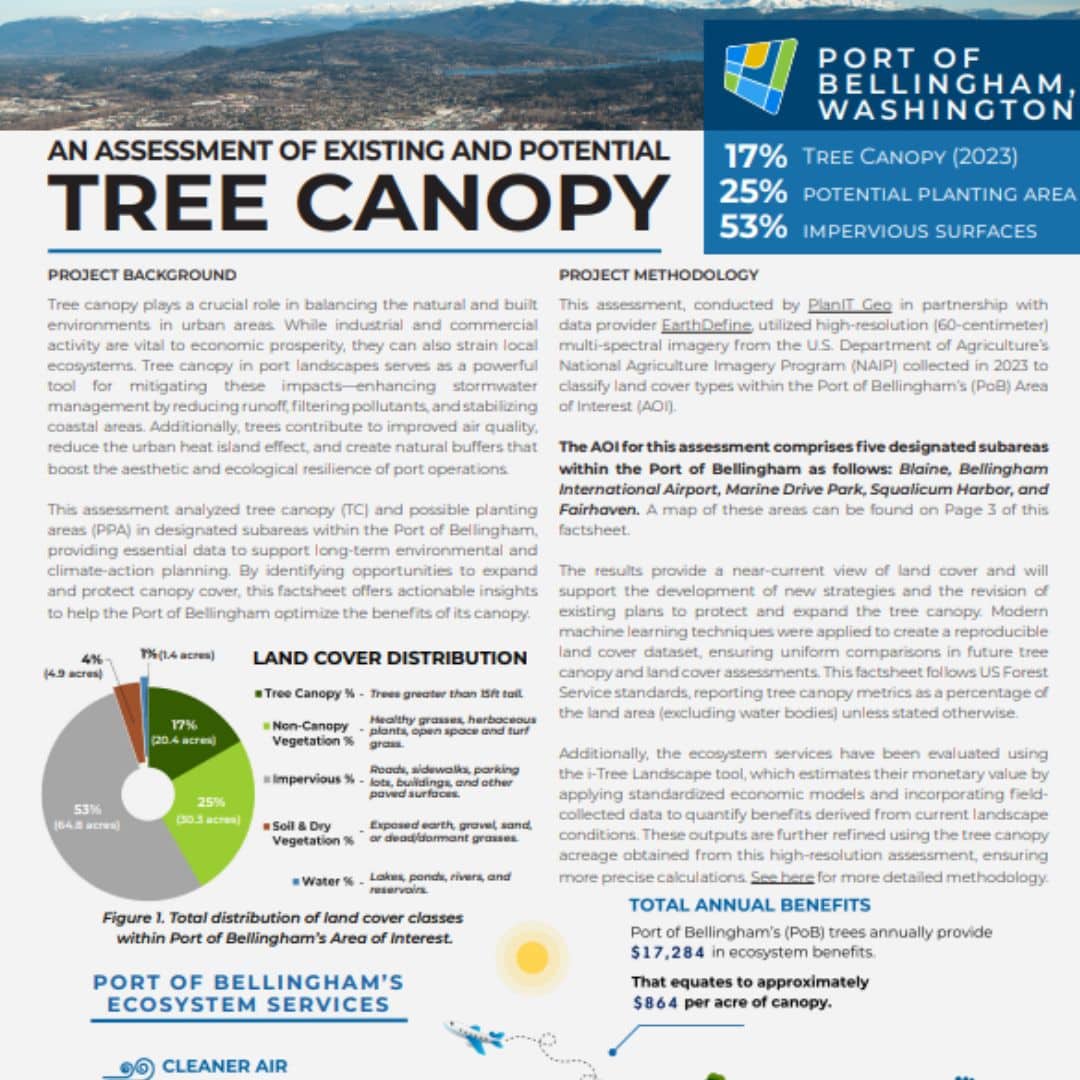 Port of Bellingham Tree Canopy Assessment | PlanIT Geo™