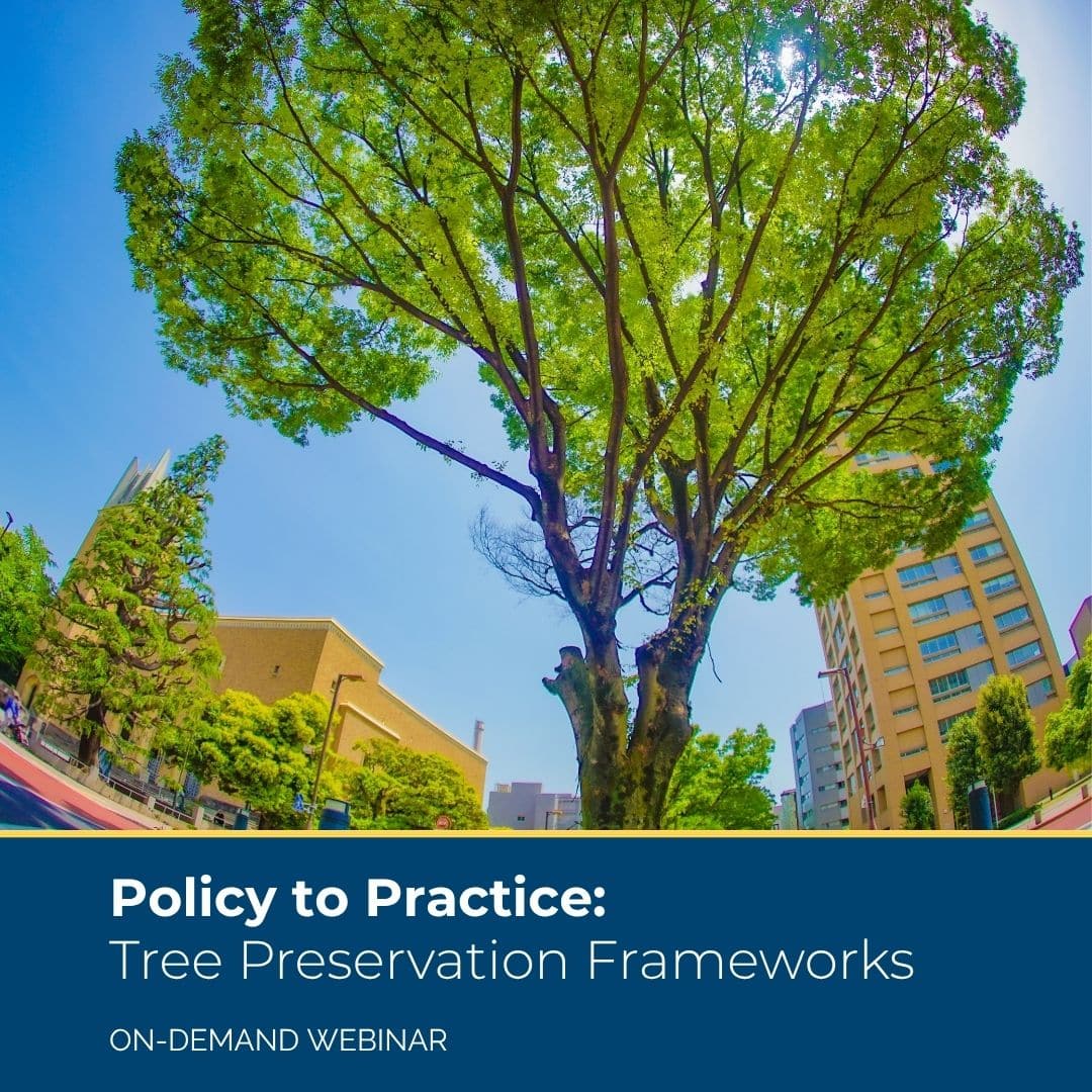 Policy to Practice: Tree Preservation Frameworks | PlanIT Geo™